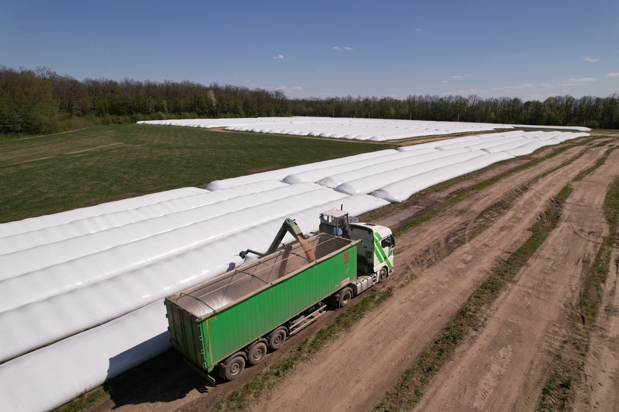 Що у рукавах? Пшениця, кукурудза, олійні — досвід рукавного сезону на «Агродар-Барі ...