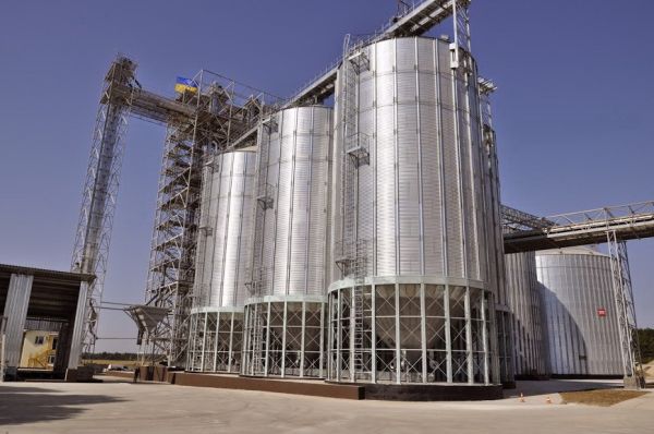 Alebor Group планирует перевалить 500 тыс. т зерна — Elevatorist.com
