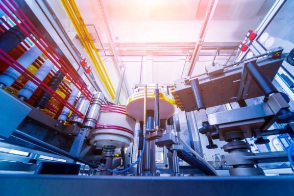 МЖК ViOil до конца лета намерены переработать 107 тысяч тонн рапса — Elevatorist.com