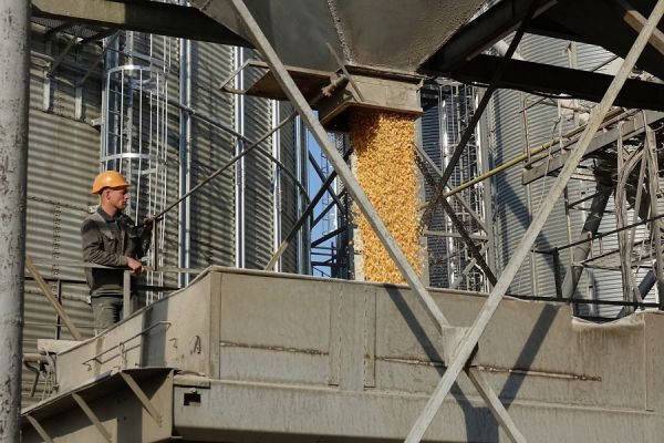 Нежинский элеватор Grain Alliance сделал почти три оборота за сезон — Elevatorist.com