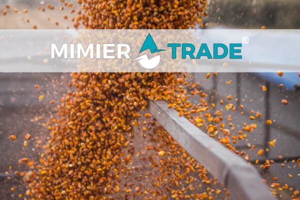 В MIMIER TRADE рассказали, на чем основаны подозрения Ярослава ...