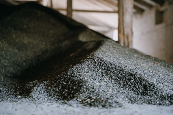 ТАС Агро почала переробляти соняшник на потужностях ViOil — Elevatorist.com