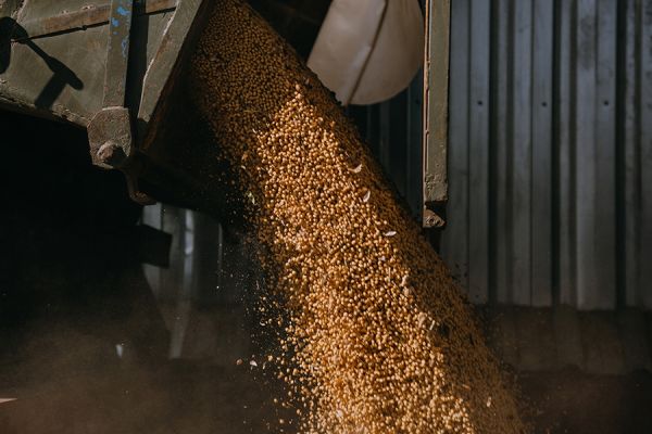 Grain Alliance за програмою USAID збільшить потужності свого елеватора у Словаччині ...