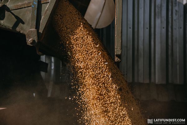 Врожайність сої в Україні цьогоріч на 20% нижча за минулорічну — Elevatorist.com