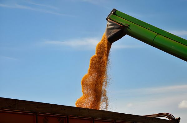 Аграрії намолотили понад 50 млн т нового врожаю — Elevatorist.com