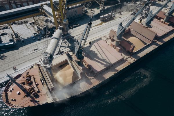 У 2025/25 МР світовий ринок пшениці може зіткнутися з незвично широким ...