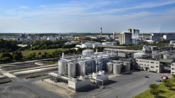 OKKO Group придбала нову компанію, розширюючи агронапрямок — Elevatorist.com