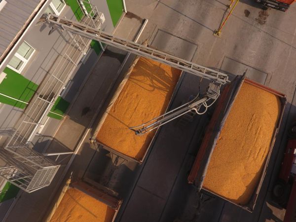 Україна може завершити 2025/26 МР із відчутним надлишком кукурудзи: наразі майже 5 млн т зерна ...